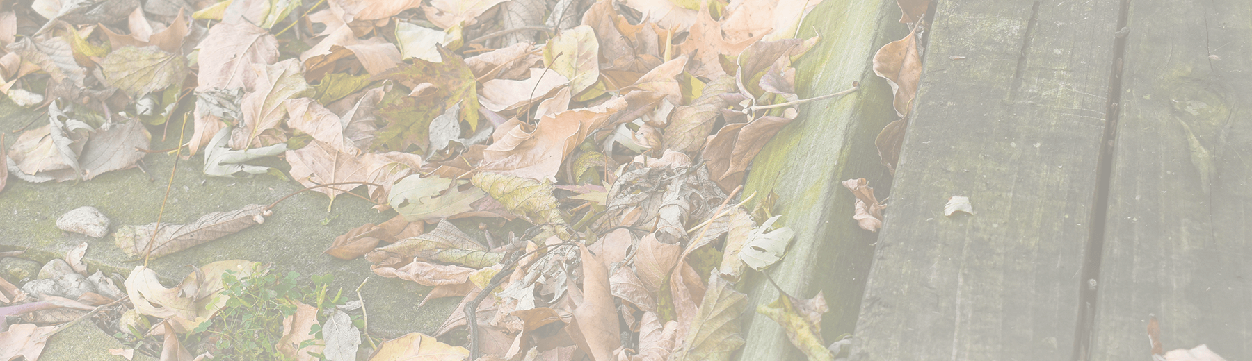 Open Facebook in a new tab Open Instagram in a new tab